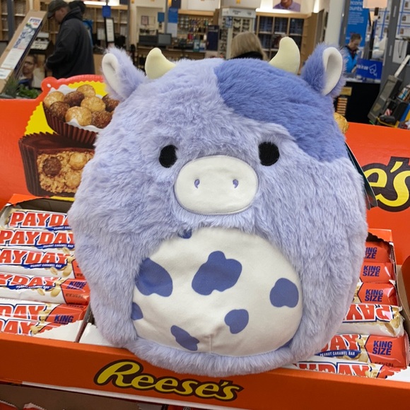 Squishmallows | Toys | Squishmallow Fuzzamallow Bubba Cow 2 | Poshmark